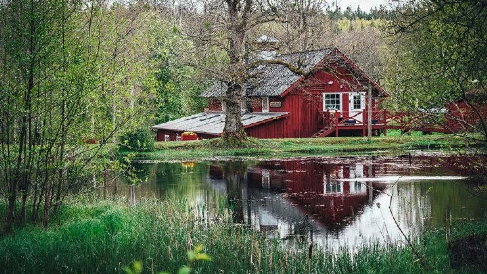 Knystaforsen: A Remote Swedish Restaurant with Soul — and Fire at Its ...